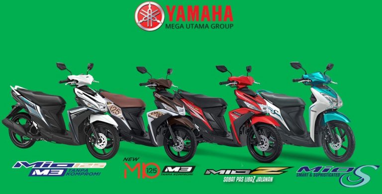 Yuk Kita Semua Berkenalan Dengan Keluarga Mio Series